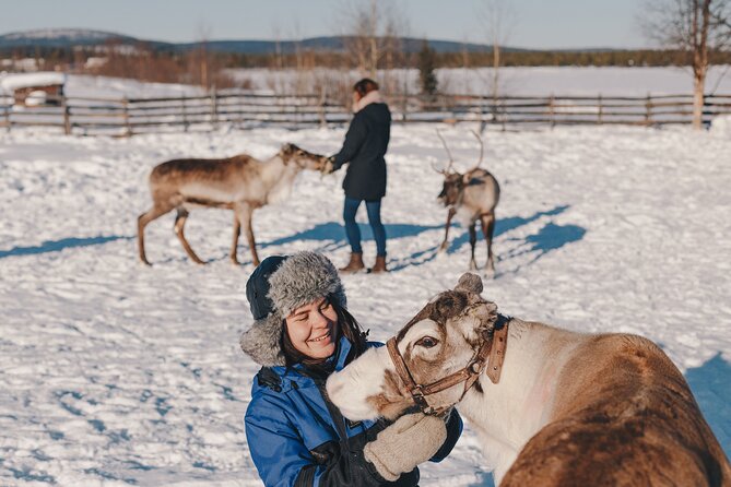 Visit the Sami and Reindeer in a Day Trip from Abisko - Who Will Love This Tour?