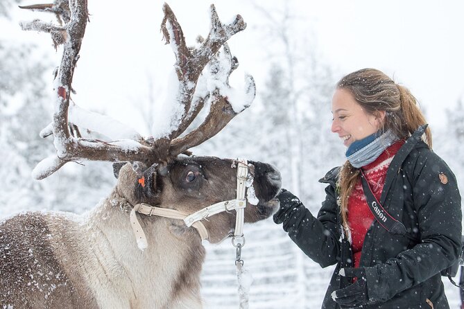 Visit the Sami and Reindeer in a Day Trip from Abisko - The Sum Up: Is It Worth It?