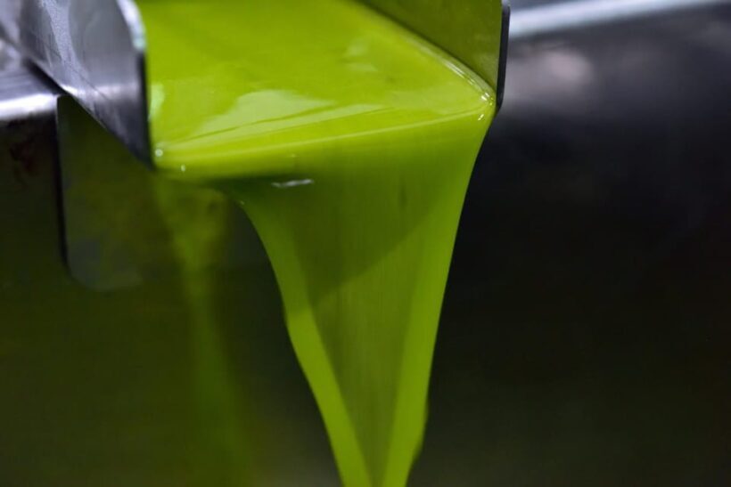 Visit to an olive oil mill and oil tasting with aperitif and food and wine pairing. - Who Will Appreciate This Experience?