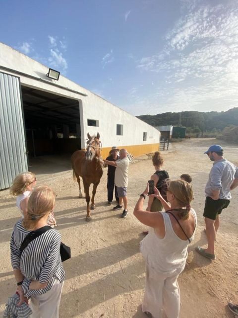 Visit to Angostura Stud + Wine - What to Expect from the Angostura Stud + Wine Tour