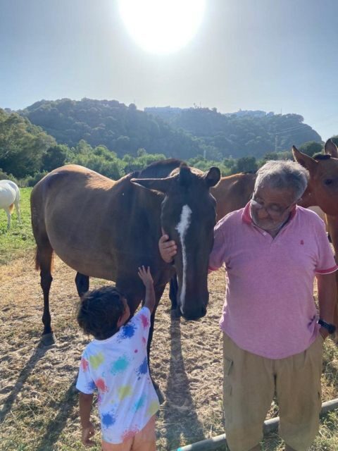 Visit to Angostura Stud + Wine - Frequently Asked Questions