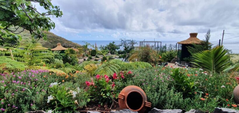 Visit to Madeira Bird Island - Who Is This Experience Best For?