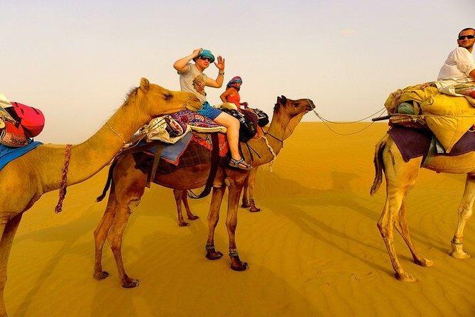 Visit to National Camel Research Center - Exploring the National Camel Research Center