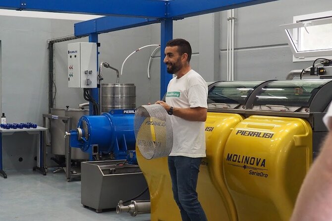 Visit to Olive Grove and Olive Mill With Oil Tasting and Tasting - Inclusions and Accessibility