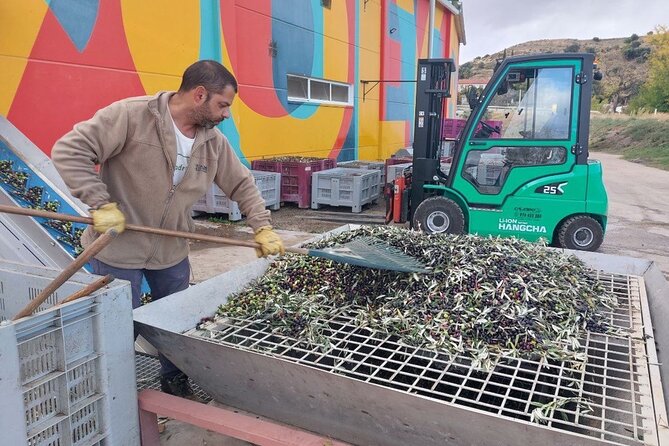 Visit to Olive Grove and Olive Mill With Oil Tasting and Tasting - Olive Mill and Oil Tasting