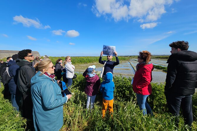 Visit to Saline - Guérande Salt Marshes - Meeting and Logistics