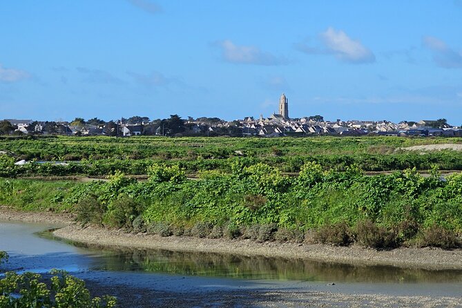 Visit to Saline - Guérande Salt Marshes - Reviews and Ratings