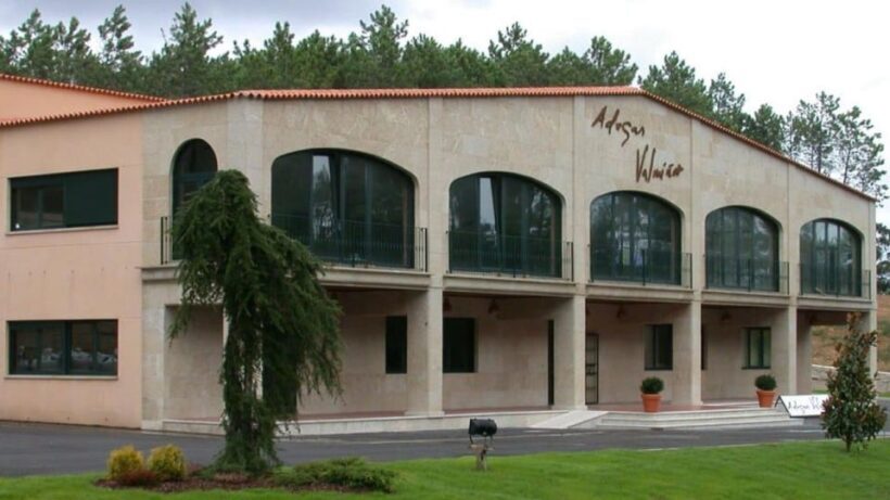 Visit to the Adegas Valmiñor winery and tasting - Introduction