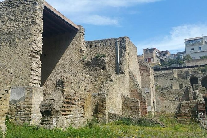 Visit to the Archaeological Park of Herculaneum - Booking and Cancellation Policies
