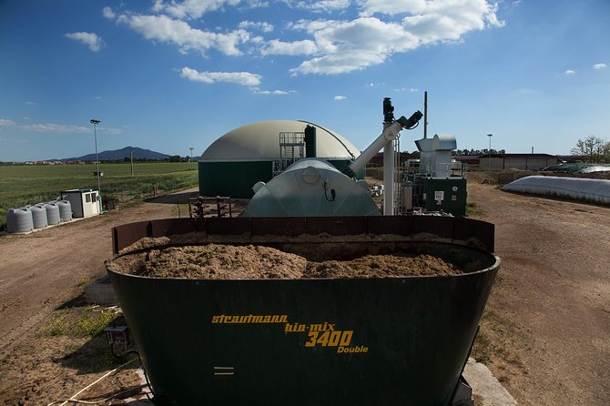 Visit to the Bufale and Dairy Farm With Cheese Tasting - Indulging in the Cheese Tasting