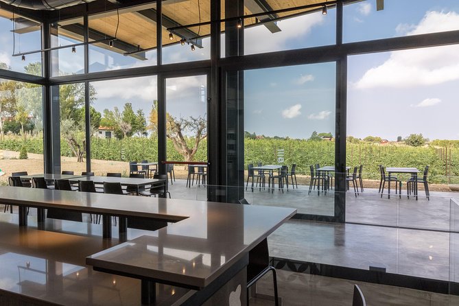 Visit to the cellar and tasting - Key Points