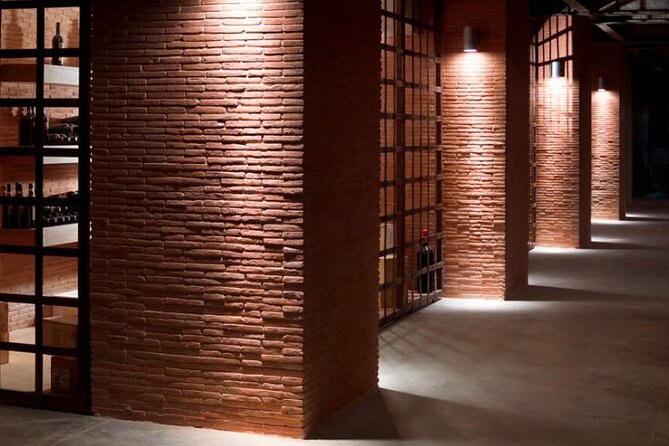 Visit to the cellar at the Feudi di San Gregorio da Sorrento - A Detailed Look at the Winery Tour Experience
