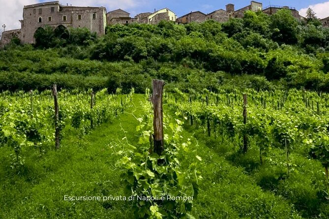 Visit to the cellar at the Feudi di San Gregorio da Sorrento - The Value and Pricing