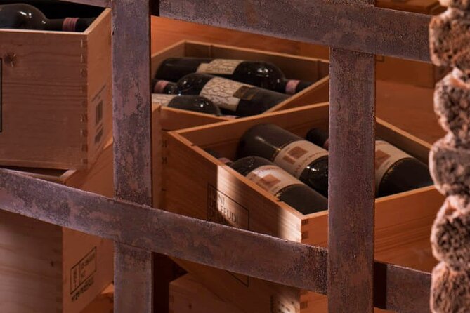 Visit to the cellar at the Feudi di San Gregorio da Sorrento - Final Thoughts