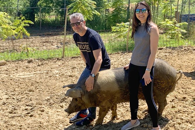 Visit to the Cinta Senese Farm in Montepulciano - Main Course Offerings