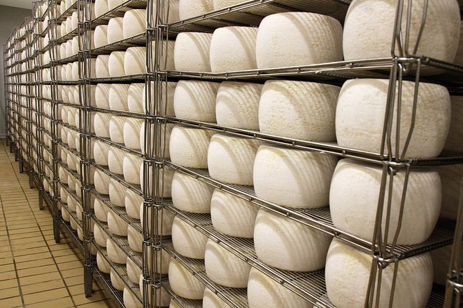 Visit to the Dairy - Pricing and Cancellation Policy