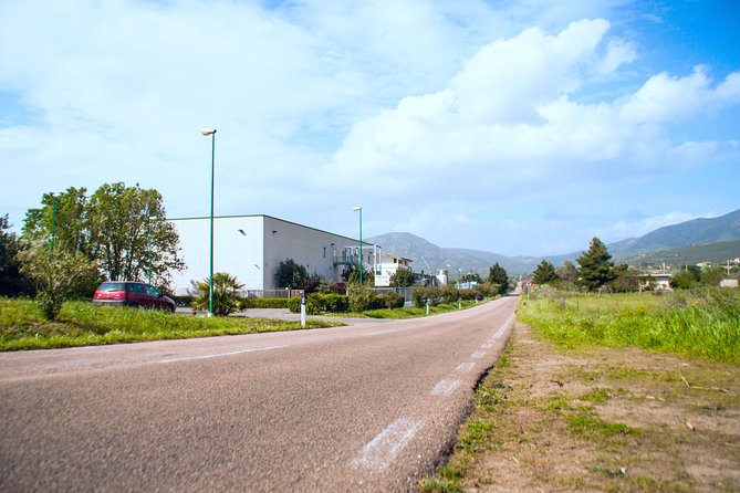 Visit to the Dairy - Accessibility and Participation