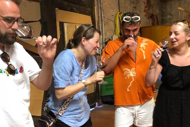 Visit to the Faugères Vineyards with Picnic from Béziers - Who Should Consider This Tour?