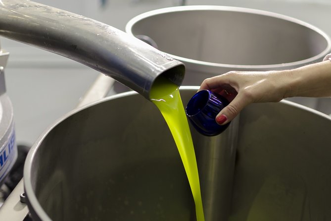 Visit to the Oil Mill With EVOO Experiences in Cuenca - Overview of the Oil Mill Visit