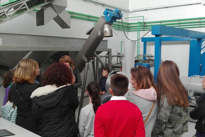 Visit to the Oil Mill With EVOO Experiences in Cuenca - Getting to the Meeting Point