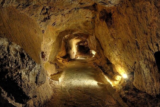 Visit to the Sant Josep Caves - Positive Feedback From Families