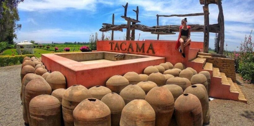 Visit to the Tacama winery + Wine and pisco tasting - Why This Tour Works for Travelers