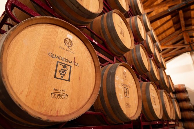 Visit to the Winery With Wine Tasting and Appetizers in Navarra - What to Expect During the Tasting