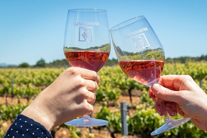 Visit to the Winery With Wine Tasting and Appetizers in Navarra - Cancellation Policy and Customer Service