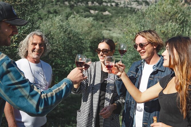 Visit to Vineyards and Tastings Departing From Béziers - Key Points