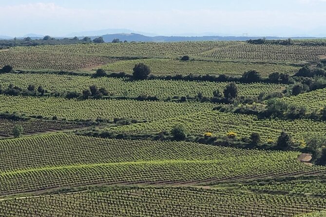 Visit to Vineyards and Tastings Departing From Béziers - Wine Tasting Experience