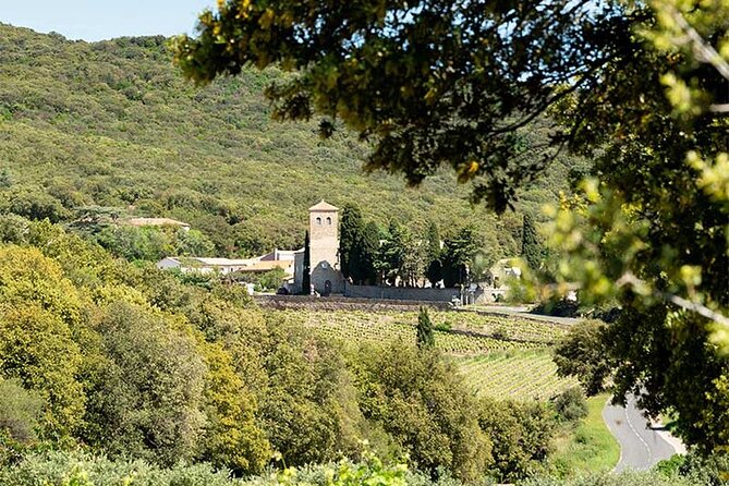 Visit to Vineyards and Tastings Departing From Béziers - Guide and Tour Quality