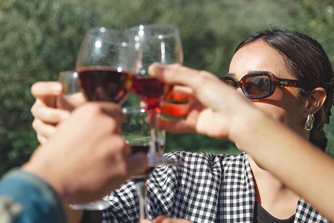 Visit to Vineyards and Tastings Departing From Béziers - Accessibility and Transportation