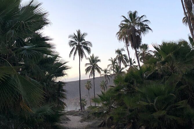 Visit Todos Santos Magic Town - FAQ
