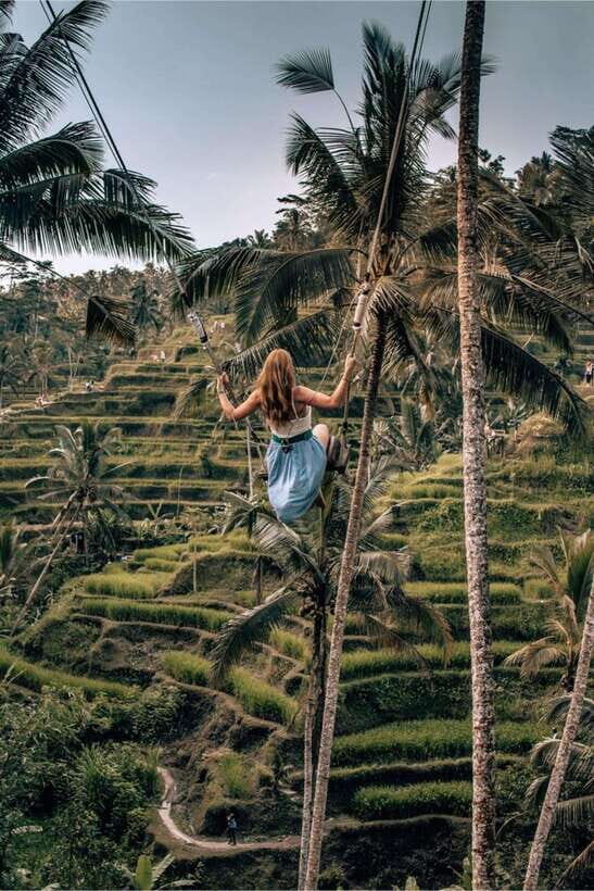Visit Traditional Village, Waterfall, Coffee & Swing - A Deep Dive into the Bali Experience