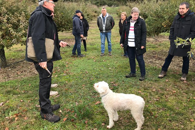 Visit truffle fields and hunt with a dog in all seasons. - Key Points