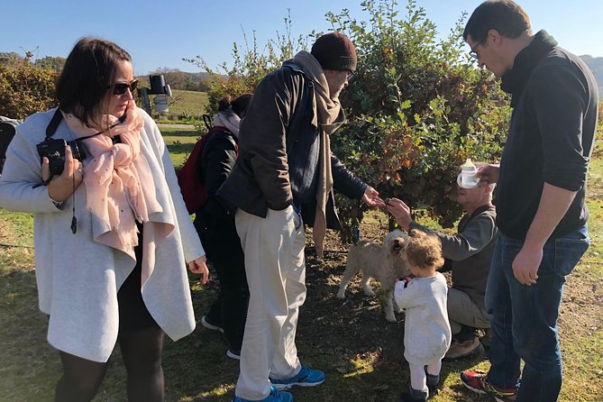 Visit truffle fields and hunt with a dog in all seasons. - The Final Word: Why You Should Consider This Experience