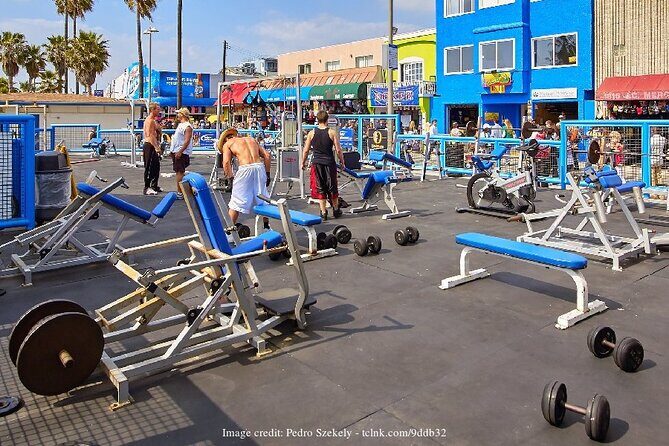 Visit Venice Beach Neighbourhood: Private 2-hour Walking Tour - Authentic Experiences and Real Feedback