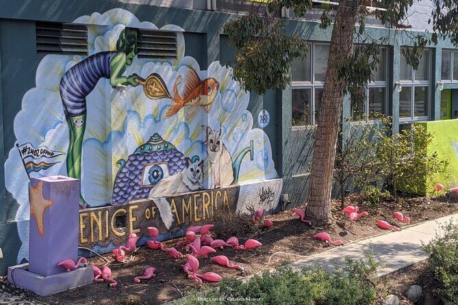 Visit Venice Beach Neighbourhood: Private 2-hour Walking Tour - The Sum Up