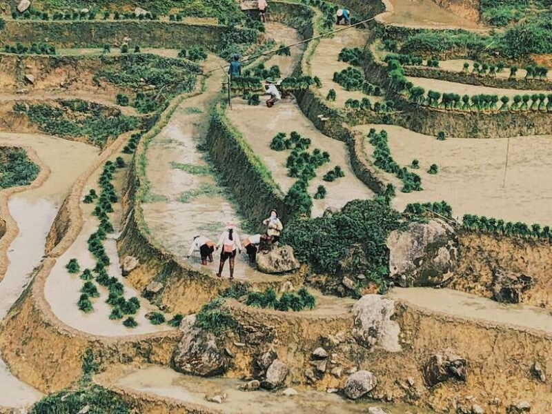 Visit Villages, Terrace Rice Field with Easy Riders half day - FAQs