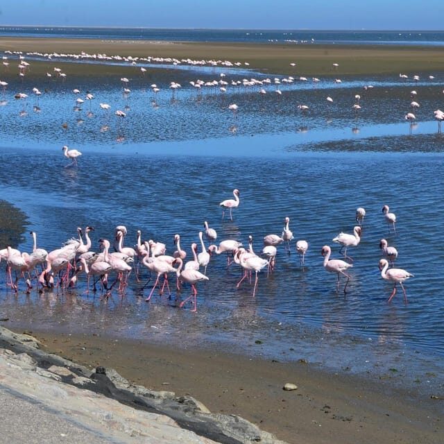 VISIT WALVIS BAY AND SWAKOPMUND: Transport and tour - Key Points