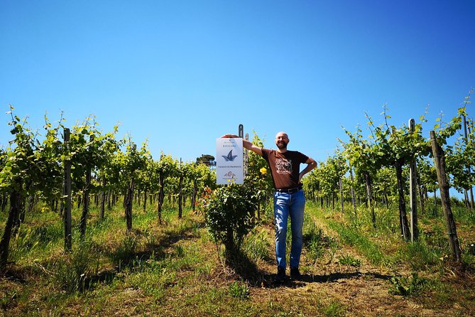 Visit, wine tasting and lunch - Who Should Consider This Tour?