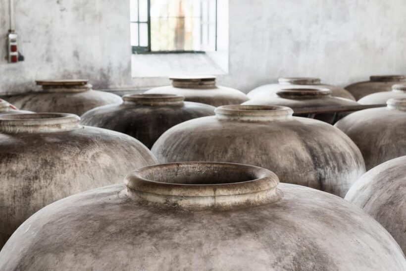 VISITA GUIADA ALMAZARA DE ACEITE Y BODEGA - Final Thoughts: Is It Worth It?