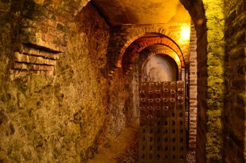 Visita guidata e Degustazione vini Monforte d'Alba - Key Points