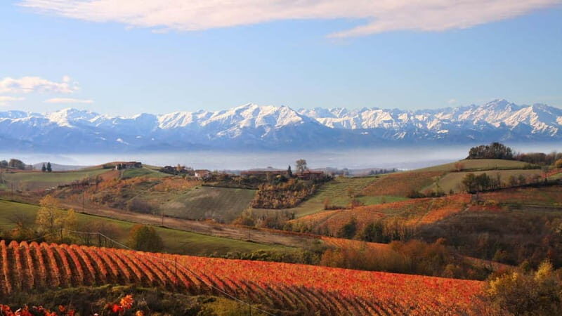 Visita guidata e Degustazione vini Monforte d'Alba - Detailed Review of the Monforte dAlba Winery Tour