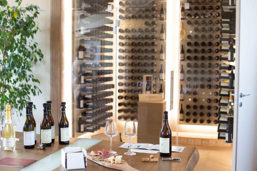 Visita guidata e Degustazione vini Monforte d'Alba - Final Thoughts
