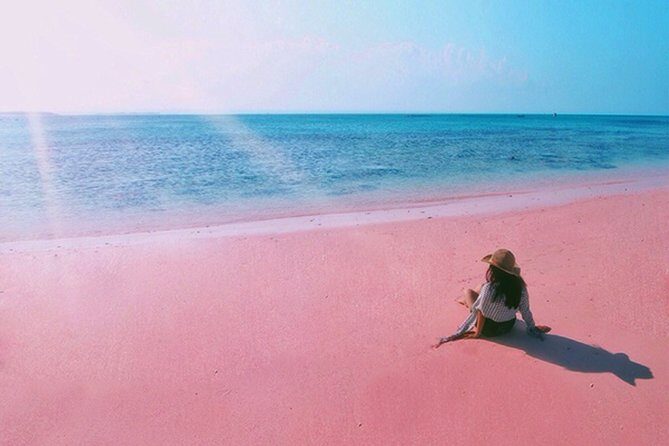 Visite L'île de Lombok: Pittoresque plage rose avec Guide Francophone - Key Points