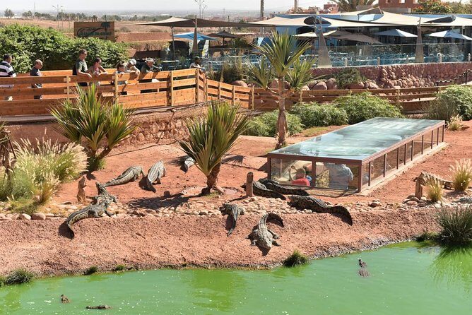 Visite the Crocodiles Park and Botanic garden - Key Points