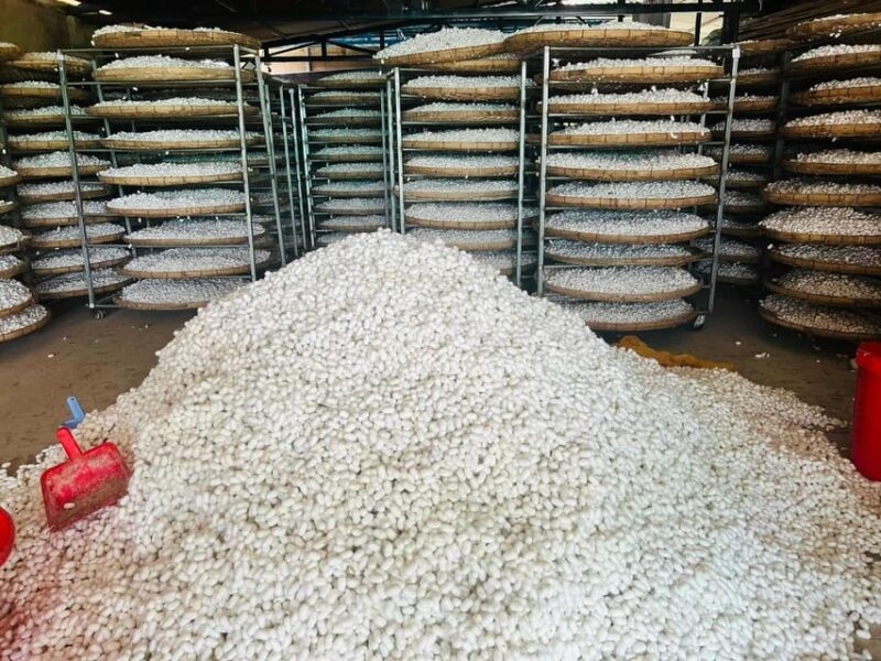 Visiting Silk Factory & Coffee - Authenticity and Value