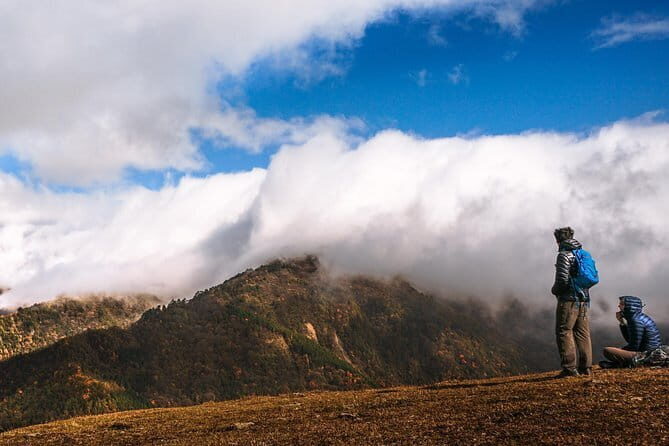 Visiting Wolong Panda Base and Hiking on Heritage Site - Discovering Wolong Panda Base and a Scenic Heritage Hike: A Genuine Travel Experience
