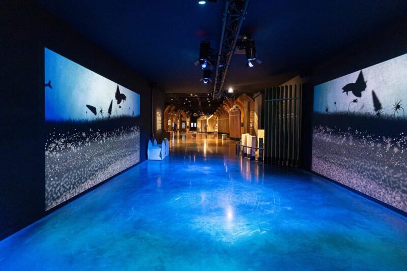 Visitor Trail of the Cité in Beaune - Key Points